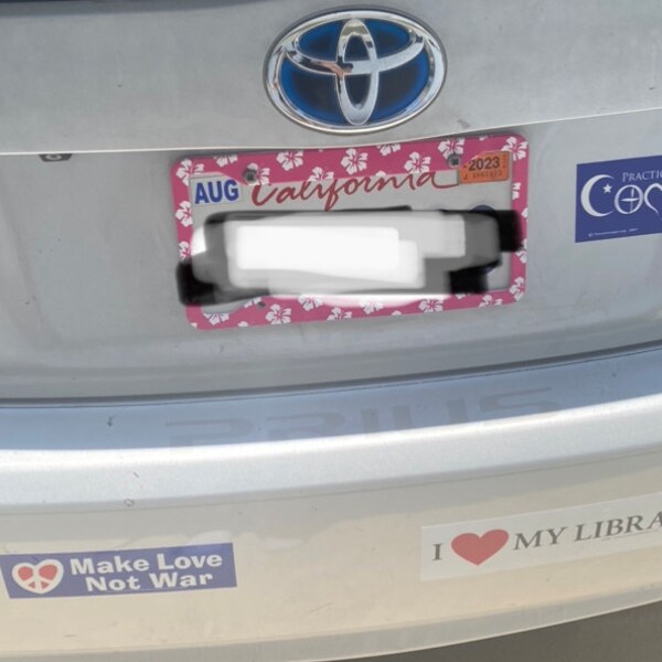 Coral Reef License Plate Frame. Beach License Plate Frame. Fish License ...