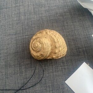 Hand Made Seashell Candles Seashells Candles Wedding Gold | Etsy