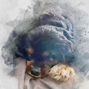 Watercolor Pet Portrait From Photo Custom Dog Portrait - Etsy