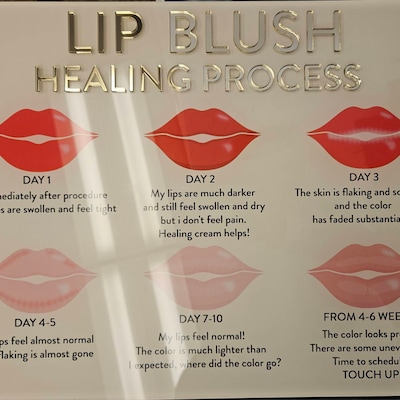 Lip Blush Healing Process Stages Sign for the Wall, Step by Step Guide ...