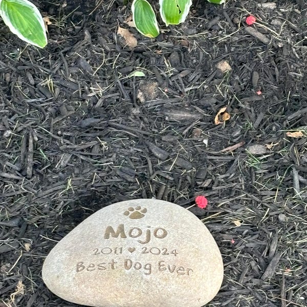 Medium River Stone Pet Memorial - Custom Engraved - Free Shipping - Etsy