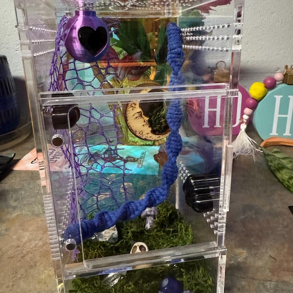 Jumping Spider Enclosure (medium) Cat Condo - Etsy