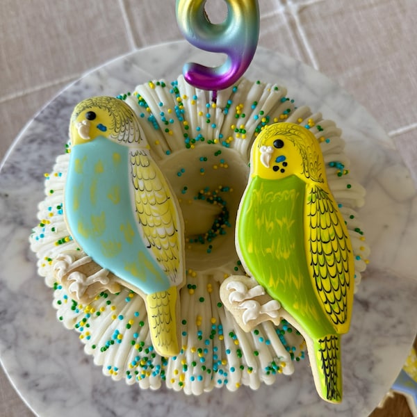 Parakeet Cookies, Bird Cookies - Etsy