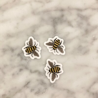 Monstera Adansonii Sticker Swiss Cheese Plant Sticker Clear - Etsy