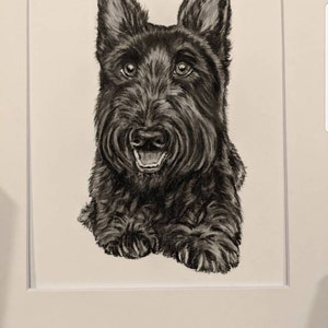 Bijon Art Bijon Drawing ORIGINAL Drawing Bijon Sketch Dog - Etsy