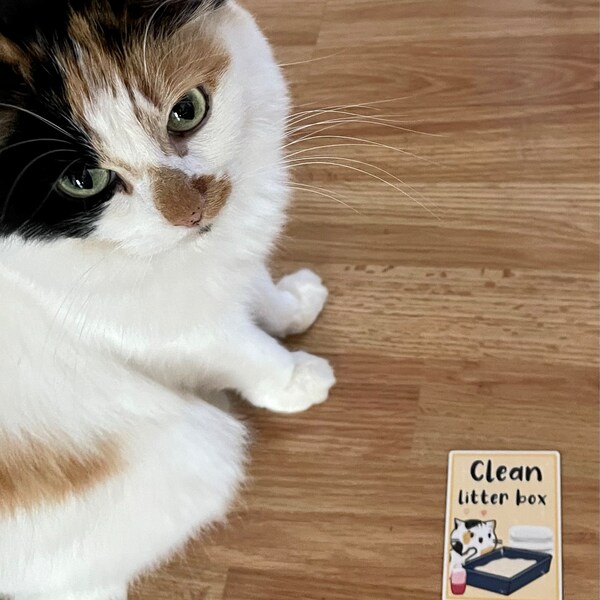 Funny Math Meme Cat Vinyl Sticker - Women With Math Meme, Intense ...