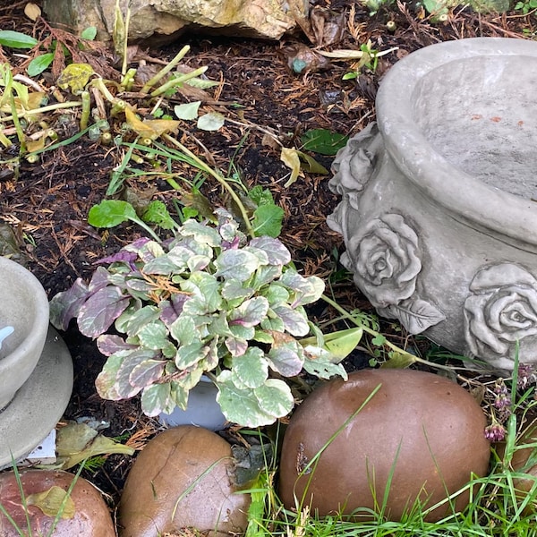 Cup and Saucer Planter - Detailed Unique Handmade Stone Garden Ornament ...