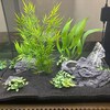 75+ Gallon Aquascape Decor SOUL CANYON Aquarium Dragon Rocks Nature for ...
