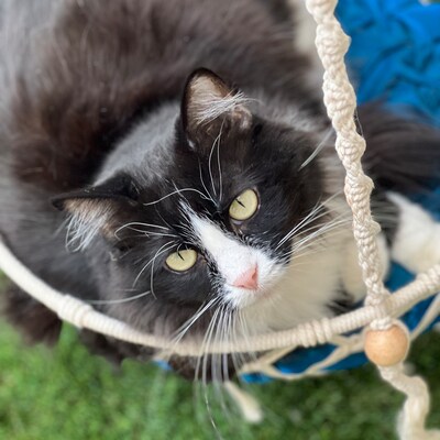 Macrame Hanging Shelf Macrame Kitchen Storage Shelf - Etsy