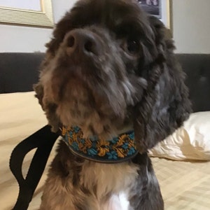 Bold and Bright Ring Lead With Tug Agility Lead-barn Hunt Lead Fyball ...