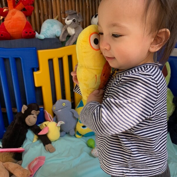 Minky Jewel Purple Dimple Shannon Fabric by the Yard Cuddle Destash ...