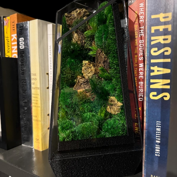 Preserved Lichen Terrarium: Ecocube S - Minimalist Glass Desk Decor by ...