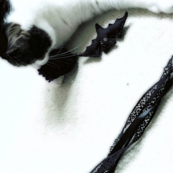 Big Bat Halloween Catnip Cat Toys, Gifts for Cat Lovers, Spooky Pet ...