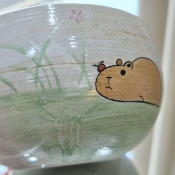 Hand Painted Cute Capybara Matcha Gift Set Matcha Bowl With Bamboo ...