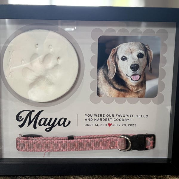 Pet Memorial Gift With Collar and Clay Paw Print Shadow Box, Clay Paw ...