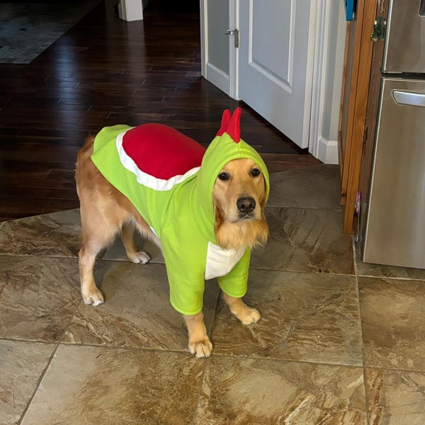 Yoshi From Super Mario Brothers Pet Costume XS to XL - Etsy