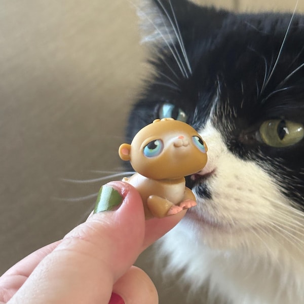 Mother's Day Seed Packet Coloring Craft – Printable Canva Template ...