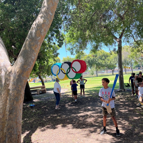 Spicy Bag of Chips Cheetos Custom Pinata (24 in L, 16 in W, 3.75 in ...