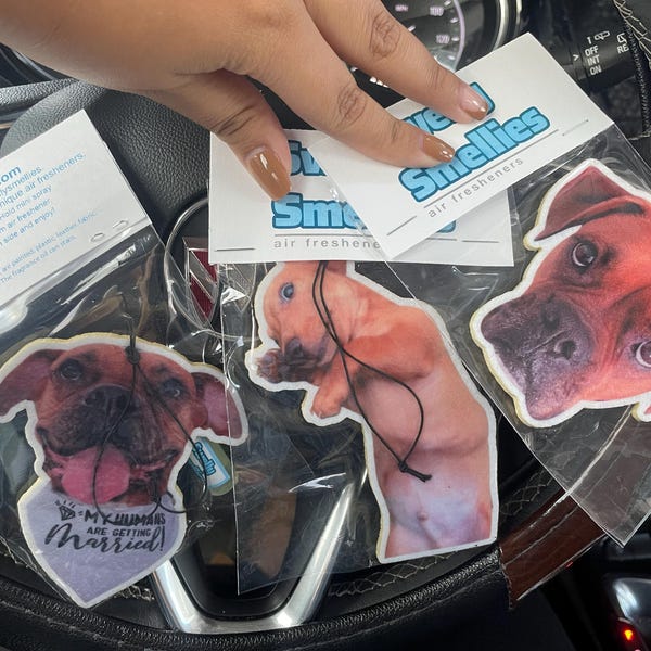 Funny Air Freshener Flaming Eye Freshener Cute Air Freshener Cool Air ...