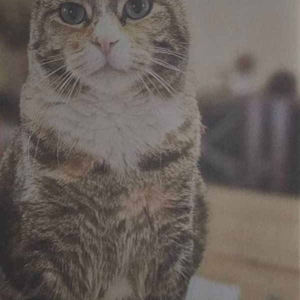 YOUR Logo Sticky Notes, Custom Logo Sticky Notes, Logo Sticky Notes ...