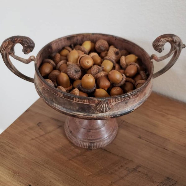 LARGE Acorns Natural Real Acorns Rustic Decor Thanksgiving Decorations ...