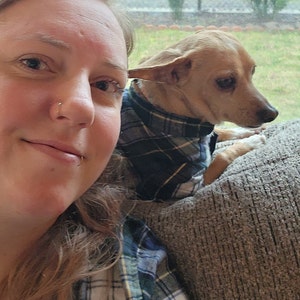 Kati Lou Dog Dress and Dog Blouse Sewing Pattern 1551 Dog - Etsy