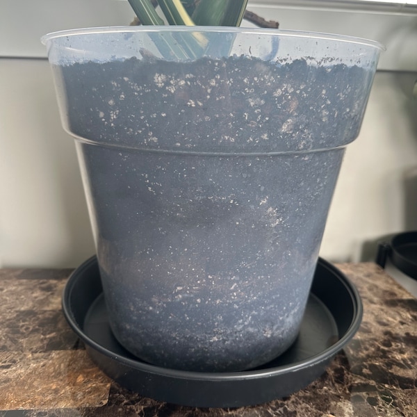 Extra Large Jumbo Clear Plastic Plant Pots for Houseplants, Aroids ...