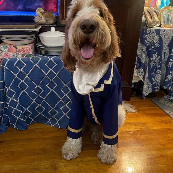 Tailor Made Prom Cocktail Tuxedo, Opera the Beast Costume and Ruffle ...