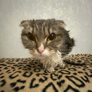 Digital PDF OMORI Paper Puppet - Etsy