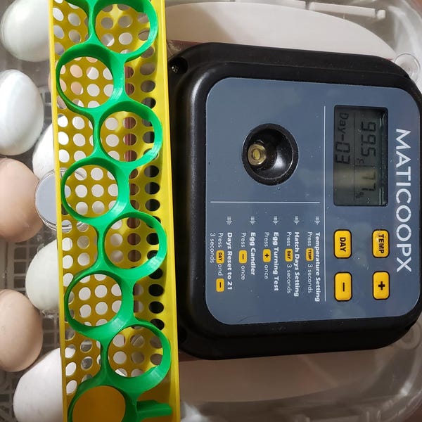 Maticoopx Jumbo Coturnix Quail Egg Rack for Incubators | 3D Printed ...