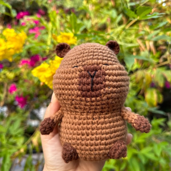Crochet Cupid Capybara Pattern (PDF/ENGLISH) - Etsy