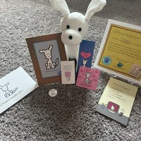 Chippy Snuggle Plush - Etsy