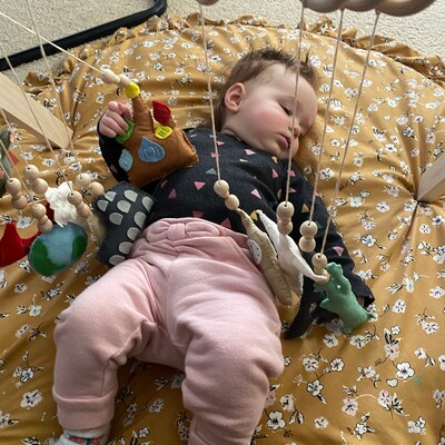 26 Zoo-phonics Animals Felt Finger Puppets Wool Felt Finger Puppet Set ...