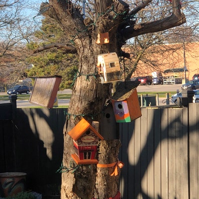 Book Nook Birdhouse - Etsy
