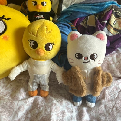 Skzoo Hoodie Set, Stray Kids Plushies, Skzoo Outfits, Skzoo Clothes ...