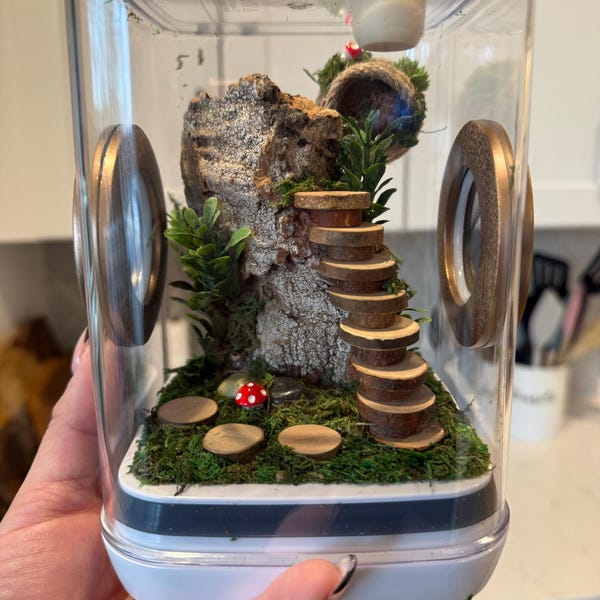 Jumping Spider Enclosure, 5x5x5 Spider House, Spider Habitat, Arachnid ...