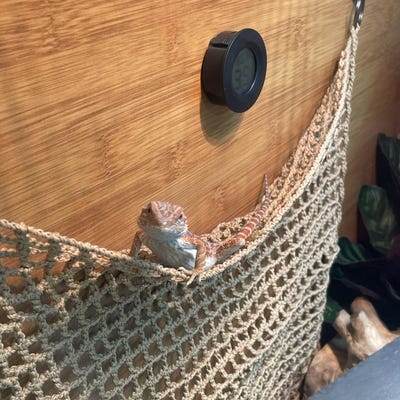 Reptile Climbable Wall Climbing Wall for Reptiles Reptile Climbable ...