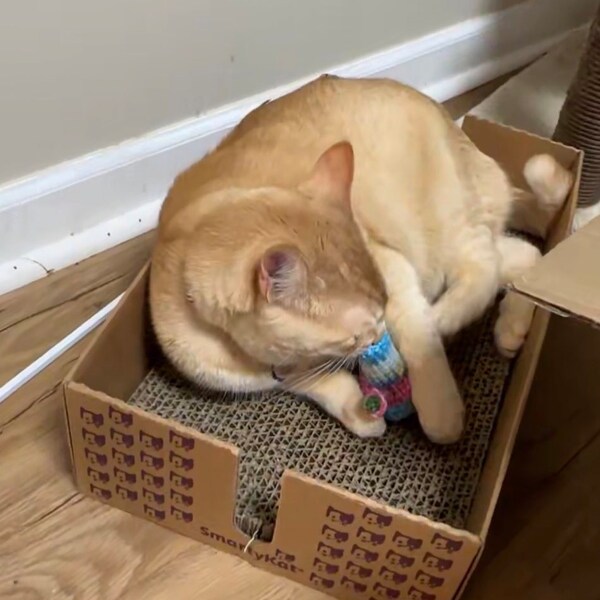 Pink Plush Pipe/juicy Coture/420 Toy/plush/plushie - Etsy