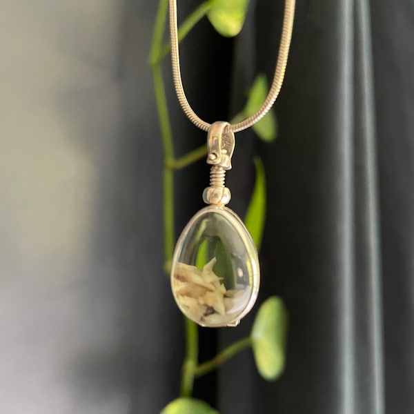 New Fillable Gold Locket Hexagon Locket Beehive Glass Locket Gems Gold ...