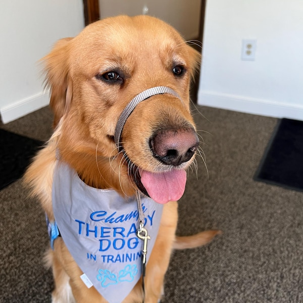 Dog Rescue Patch 3 Inch Round Patch Embroidered Rescue Dog Patch ...