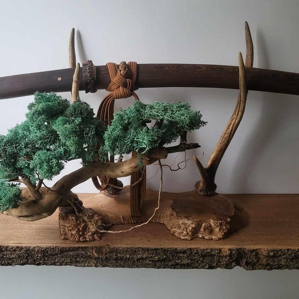 Set of Burl Wood. Burl Wood. DIY Crafts. Dried Burl Slabs. Woodworking ...