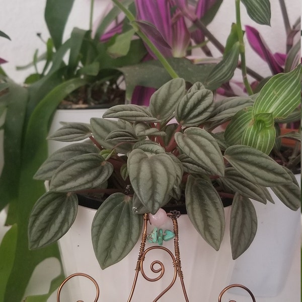 Clear & Rose Quartz Crystal Flower Pot Decoration, Planter Pot Hugger ...