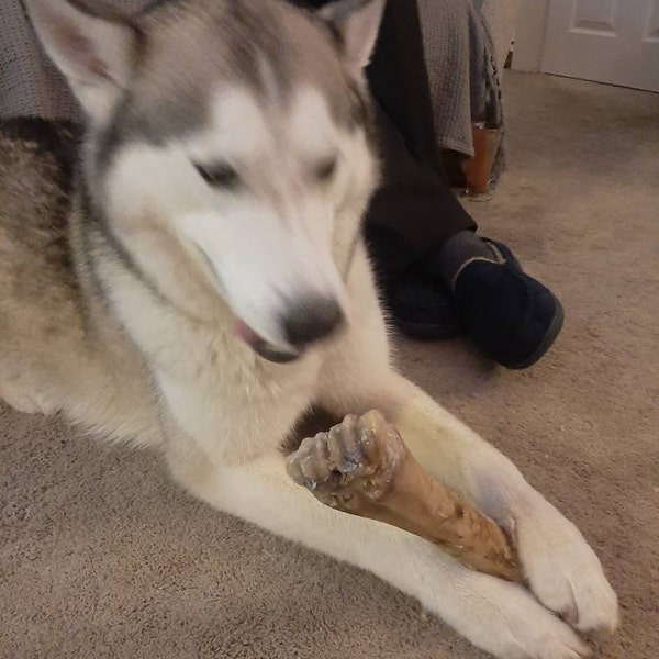 The Everlasting Chew Box! Tougher Natural Chews for Dogs. Longer ...