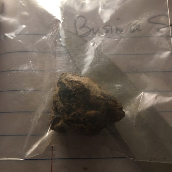 High John Root - Etsy