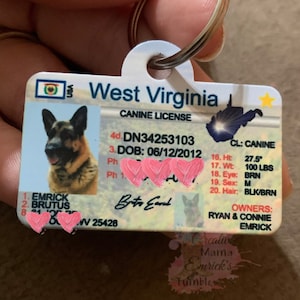 20 Pcs License Plate Rectangle Double-sided Dog Bone Pet ID Tag ...