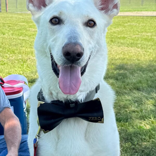 Leather Bow Tie, Leather Bow Tie for Men, Bow Tie With Metal Corners ...