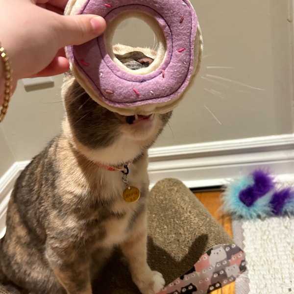 Cat Donut Toy With Catnip, Felt / Jouet Pour Chat Avec Herbe à Chat ...