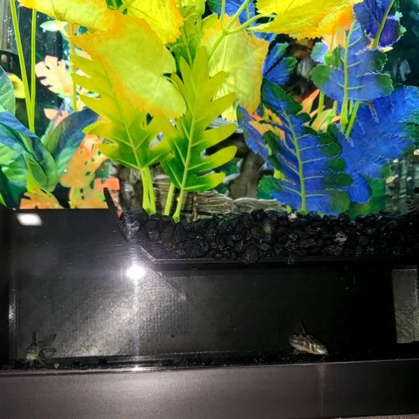 Aquarium Dome Tunnel | Fish Tank Gravel Hiding Spot/under-view Area - Etsy