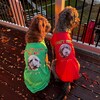 Customizable Pet Shirt: Create a Unique Look for Your Pet Personalized ...