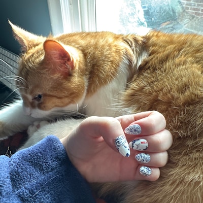 Chinese Porcelain Nails, Fake Nails, Press on Nails. Chinese Tea Pot ...